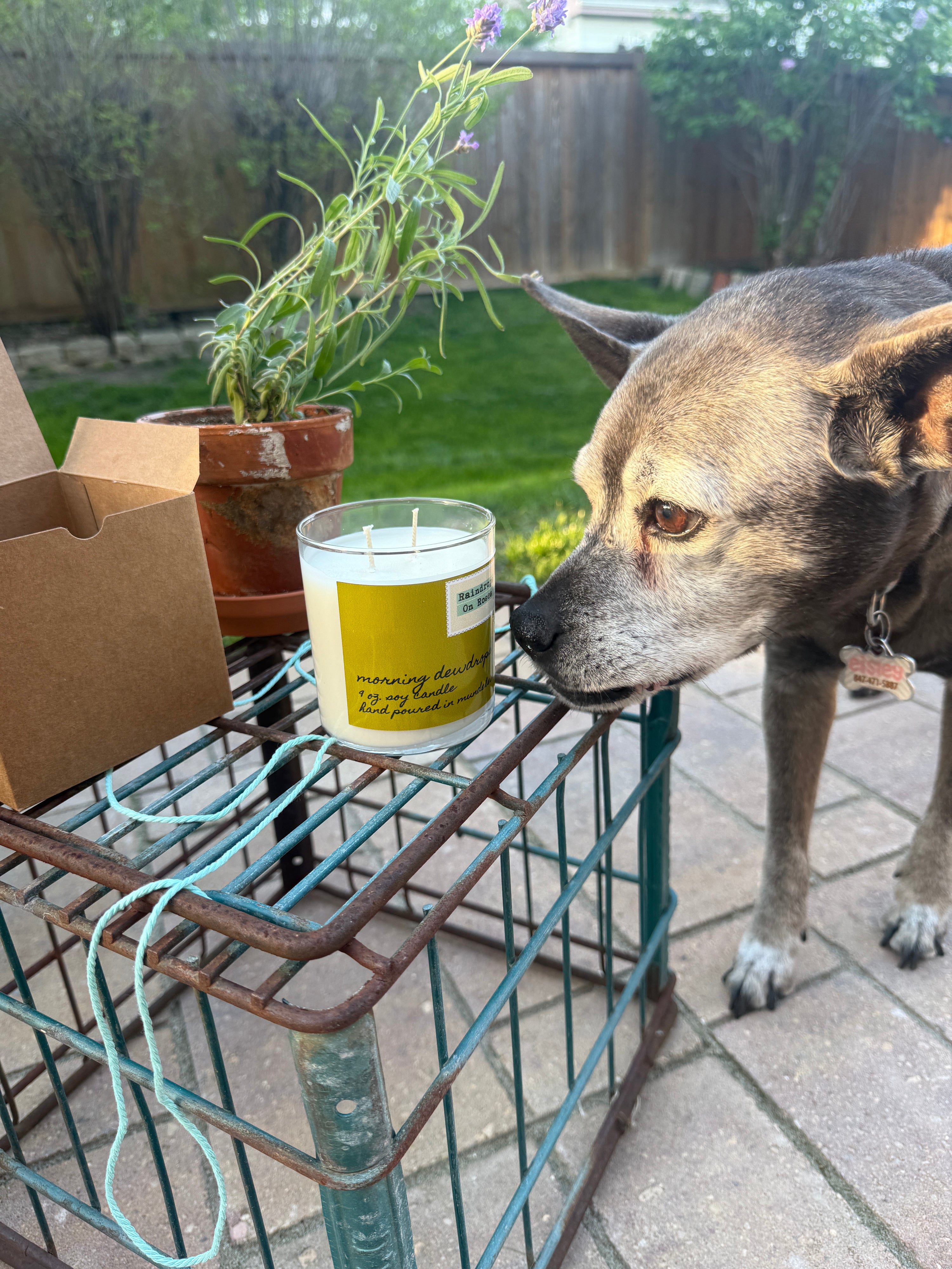 Raindrops on Roses Candles